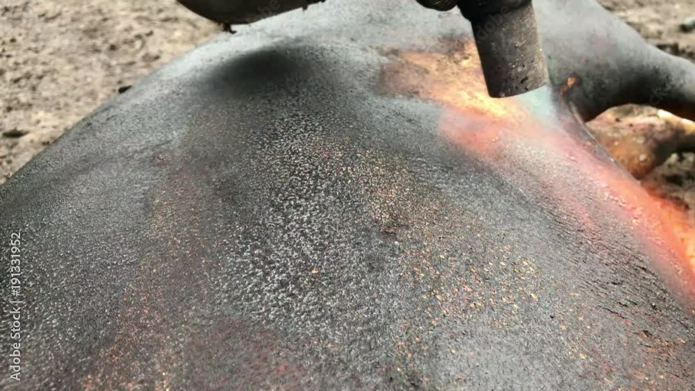 Slaughter burn the pig hair off with a gas burner before butchering ...