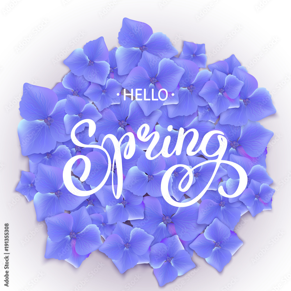 Blue Hydrangea Background and Spring Hand Lettering Isolated On Blue ...