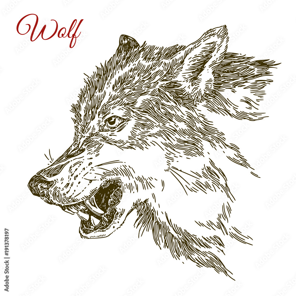 Angry Wolf Head Profile