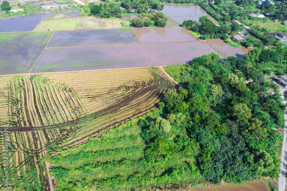 Rice plantation land for rice field preparing of soil Stock Photo ...
