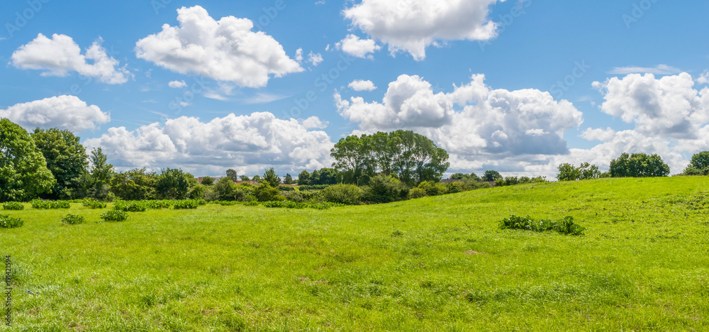 Beautiful park scene in public park with green grass field, green tree ...