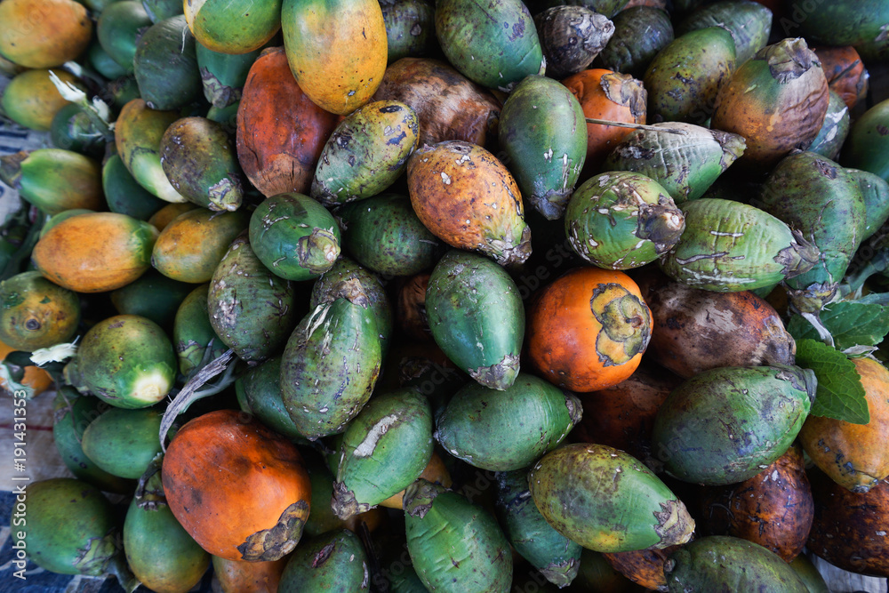 The areca nut is the seed of the areca palm (Areca catechu), which ...