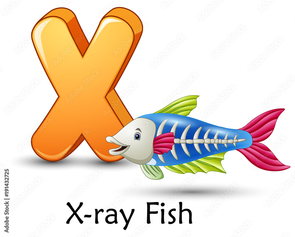 Letter X is for X-ray fish cartoon alphabet Stock Vector | Adobe Stock