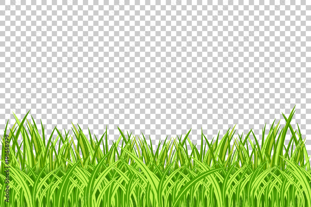 Grass Border. Vector Illustration. Realistic isolated green grass ...