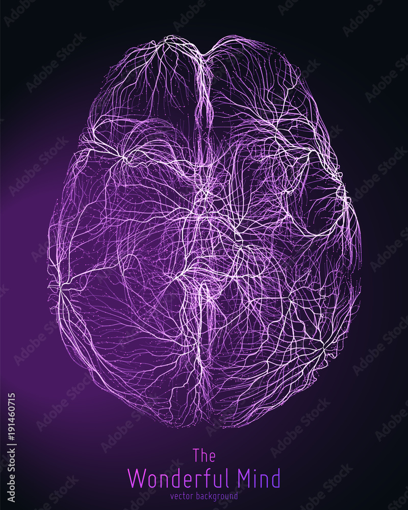 Brain Synapses Vector