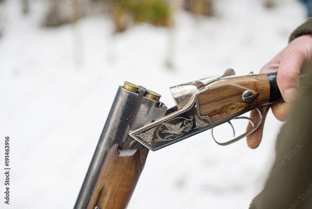 Shotgun Double Barrel Shotgun Stock Photo Adobe Stock