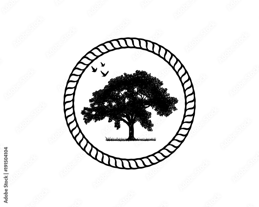 Line Art Classic Circle with Oak Tree and Flying Bird Illustration Hand ...