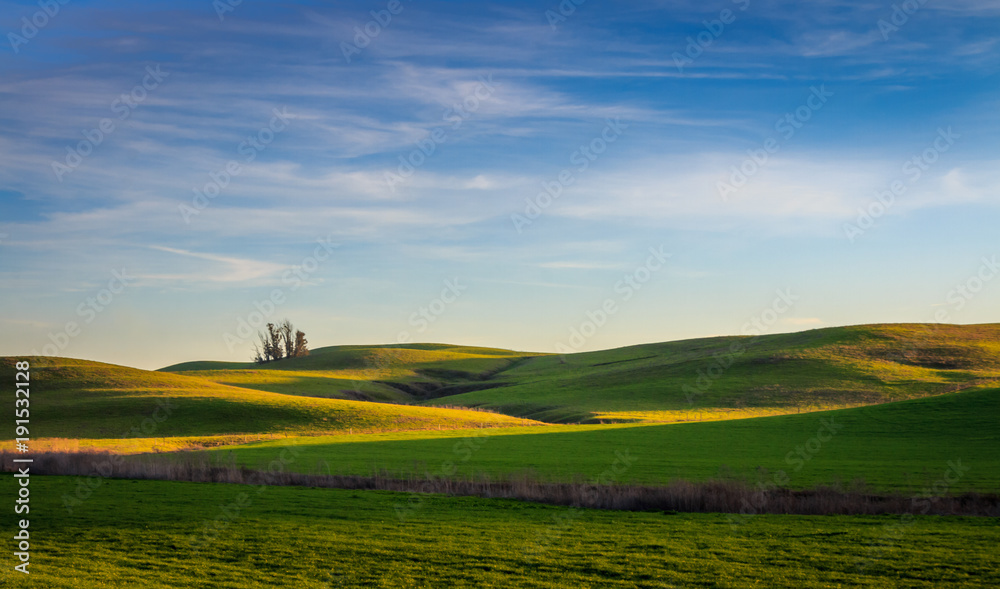Green pasture lands with late afternoon light and shadows. A small ...