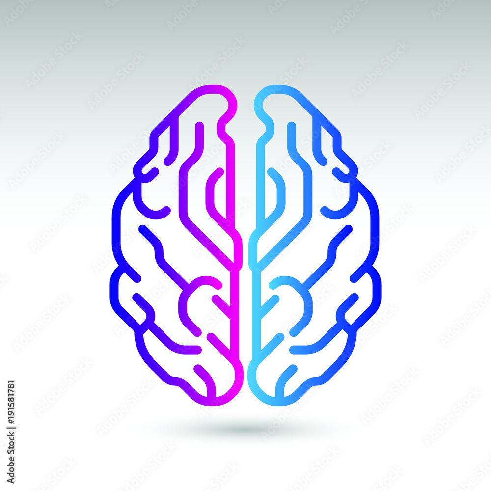 Brain Top View Vector