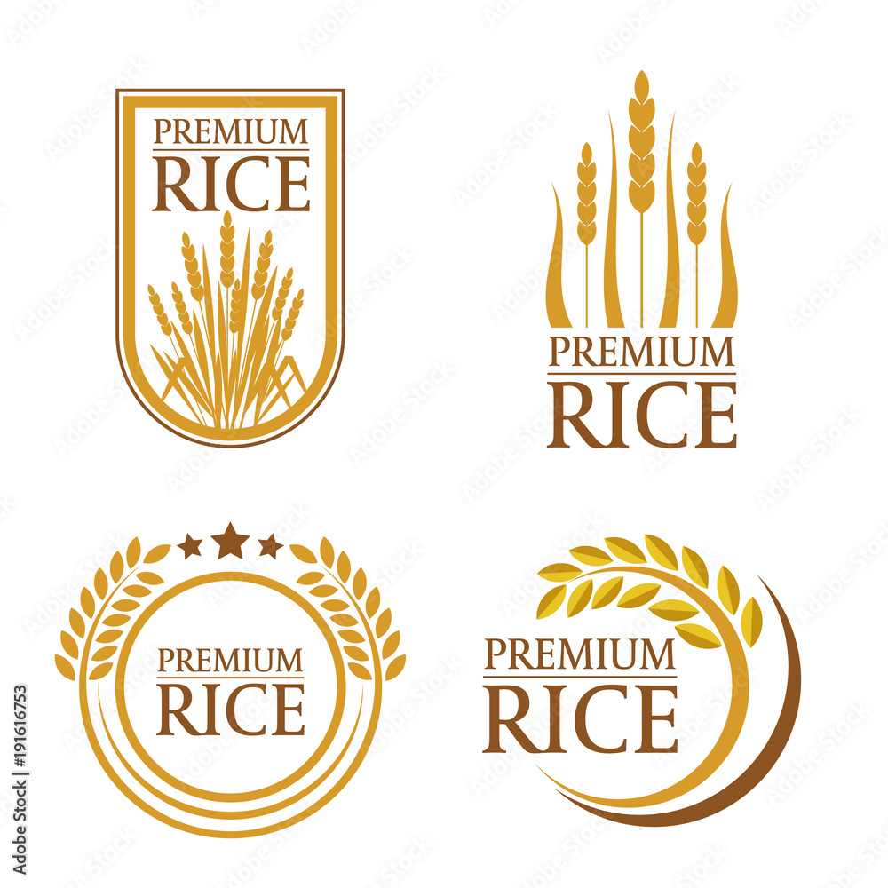 Orange brown paddy premium rice natural product banner and logo art ...