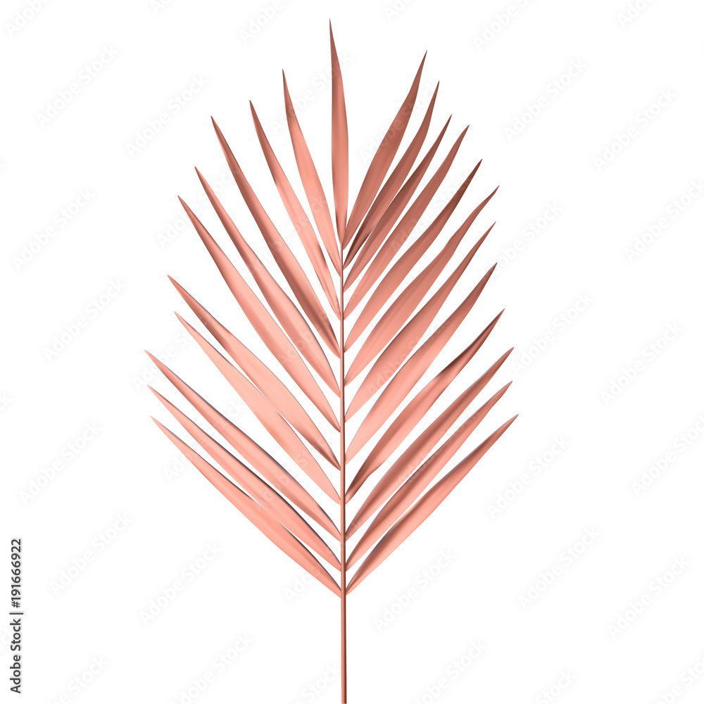 Tropical Palm leaf isolated on white background. Golden pink Palm frond ...