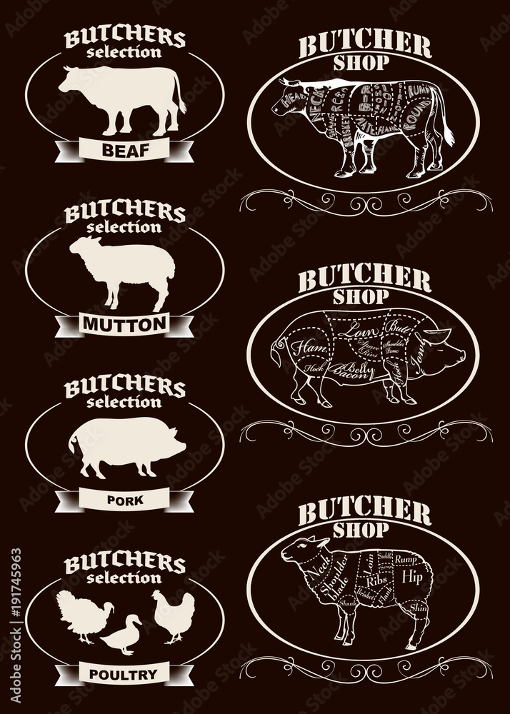 Butchers shop / Creative conceptual vector. Sketch hand drawn set meat ...