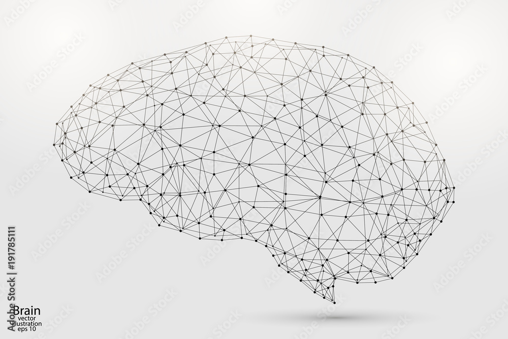 The human brain consists of lines and triangles. The illustration is ...