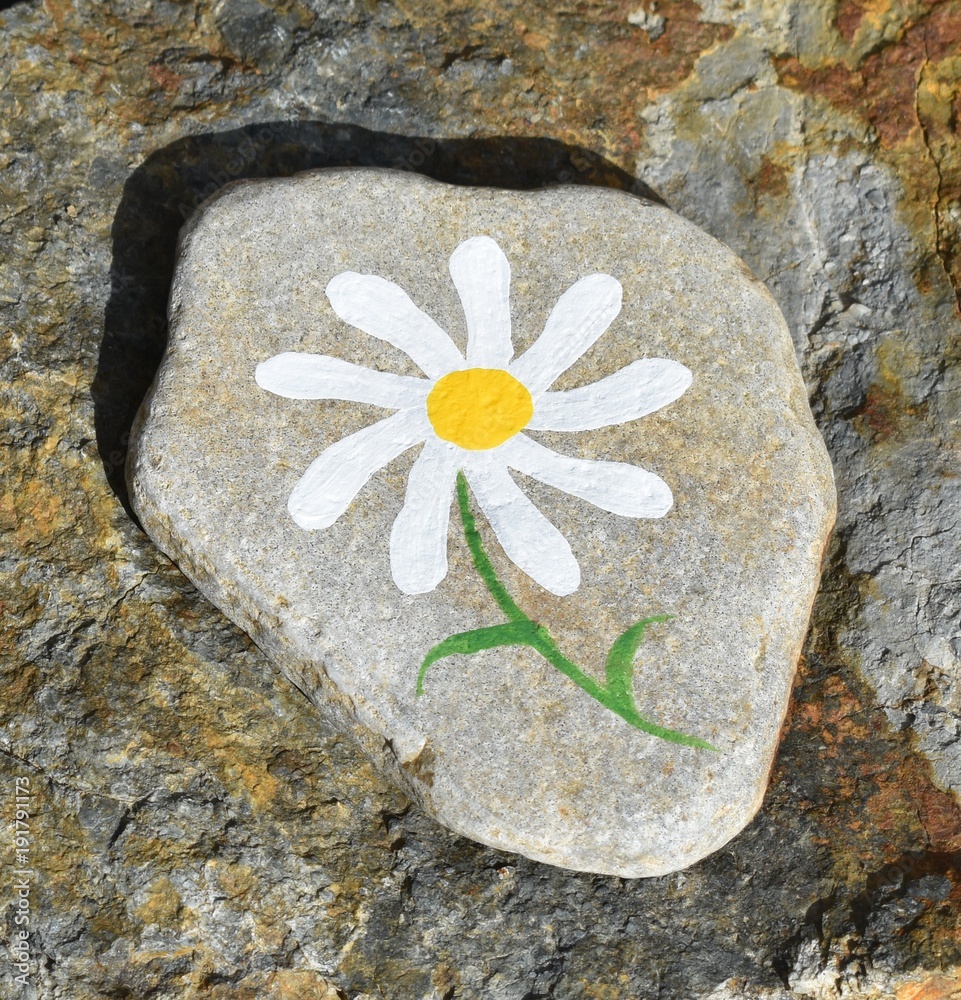 Daisy painted on a rock Stock Photo | Adobe Stock