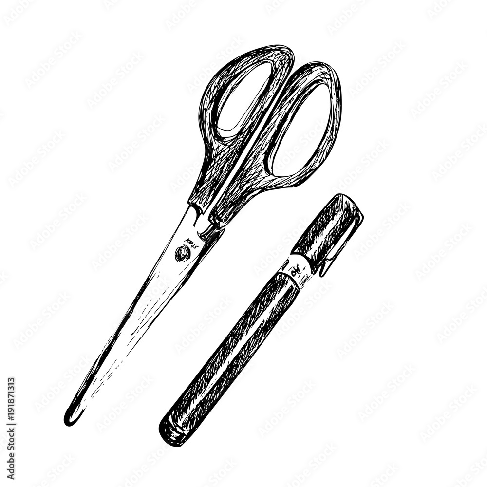 Hand drawn sketch of scissors and pen isolated on white background ...
