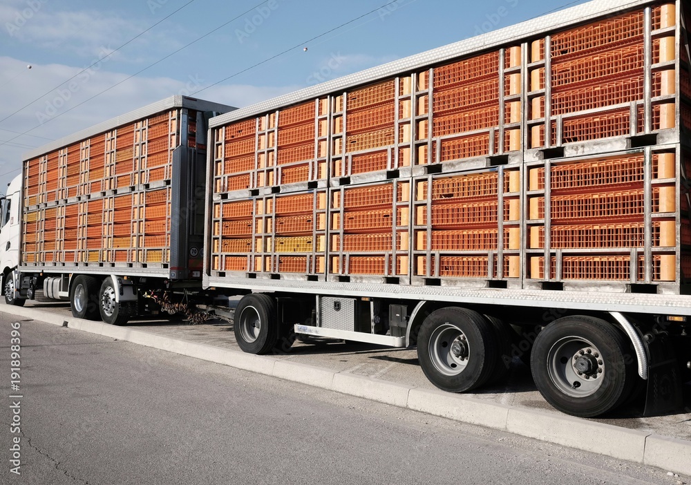 trucks for transporting live animals Stock Photo | Adobe Stock