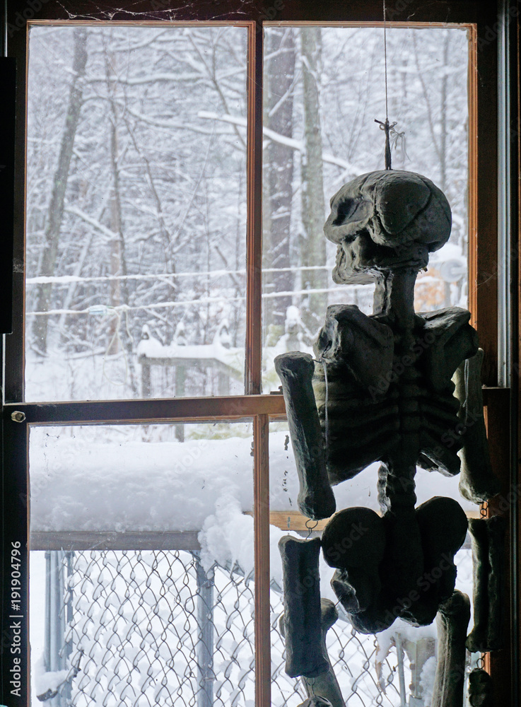 Odd photo of a skeleton looking out a window at a snowy landscape Stock ...
