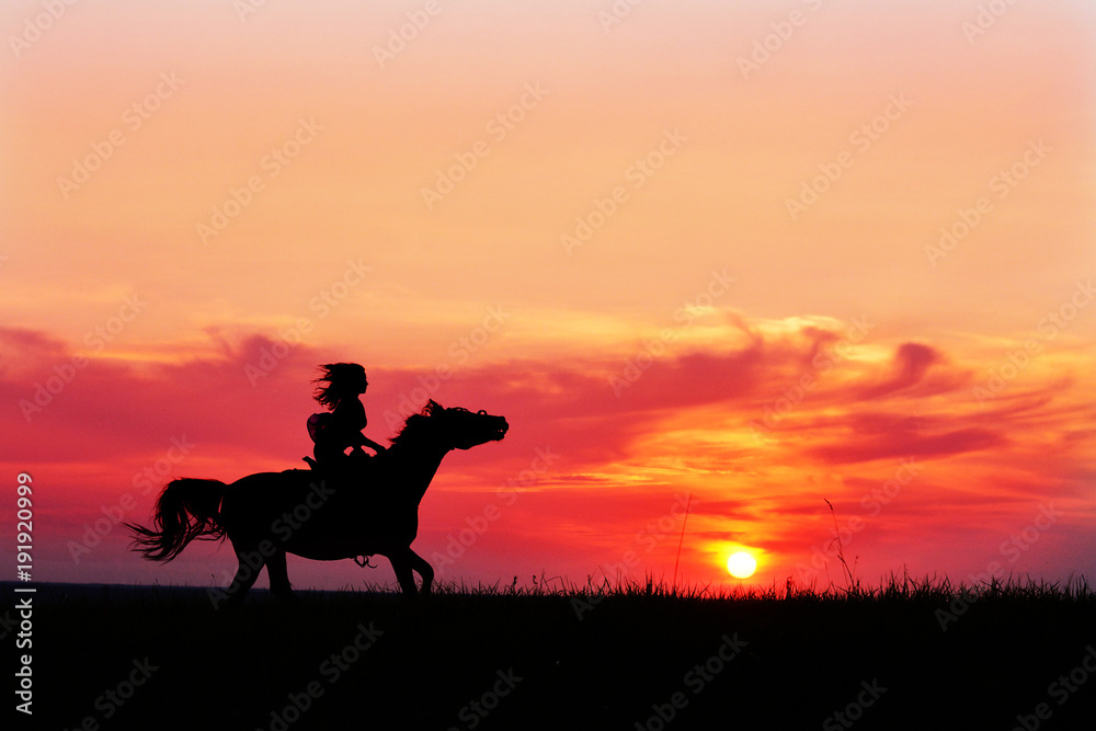 Romantic pink sunset with galloping horse and female silhouette ...