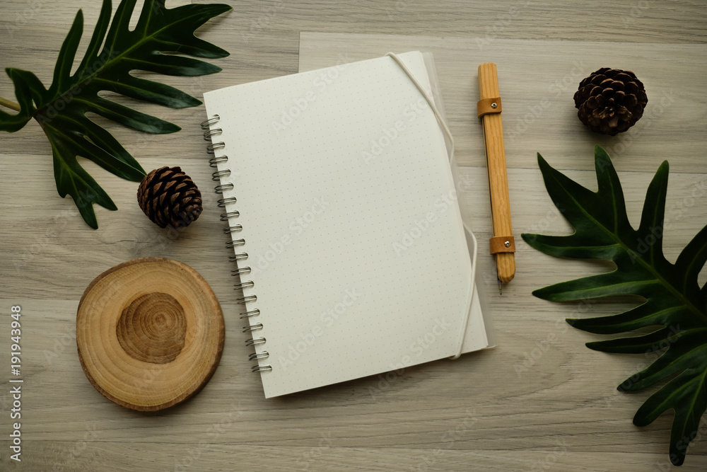 flat lay natural product concept , copy space. creative layout ...