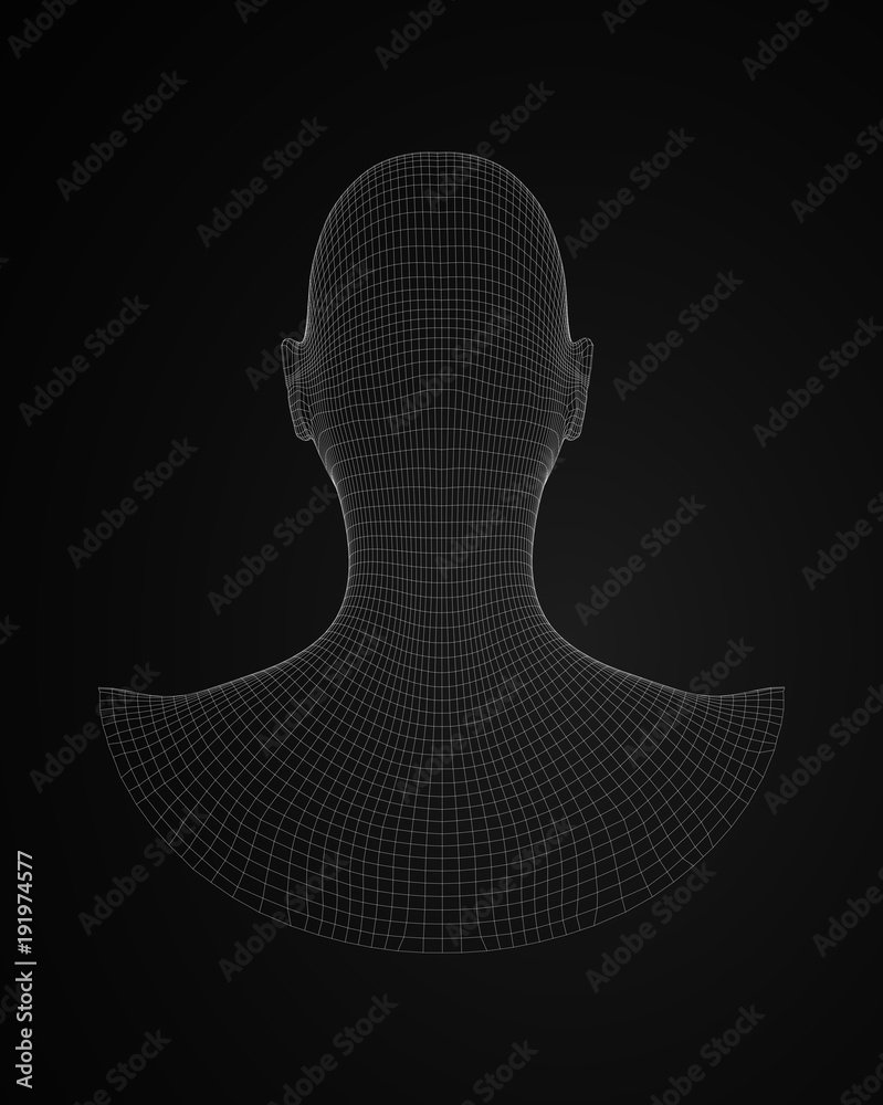 3d head wireframe vector. Drawing of wireframe head 3d model. Vector ...