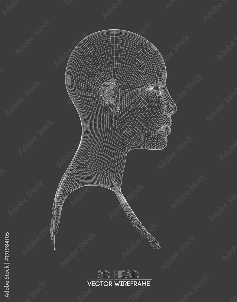3d head wireframe vector. Drawing of wireframe head 3d model. Vector ...