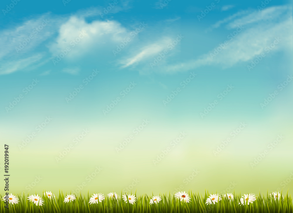 Retro nature background with green grass and sky . Vector. Stock Vector ...