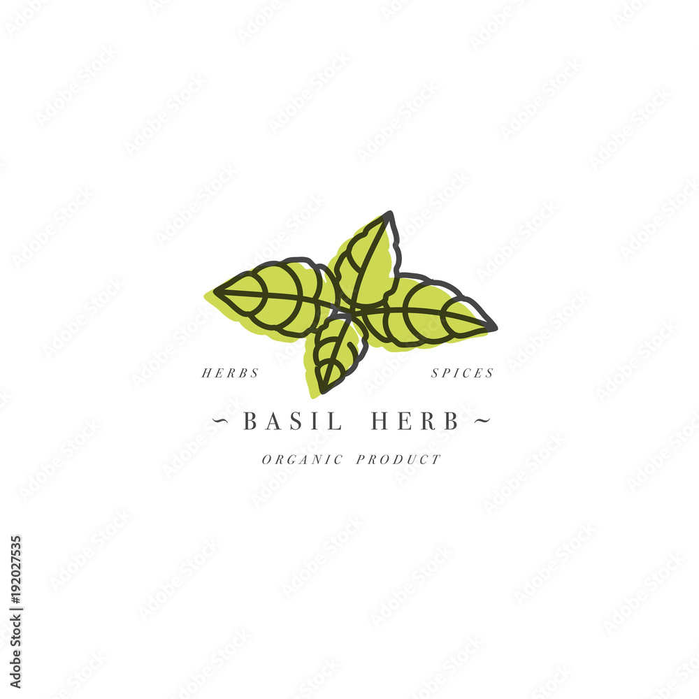 Packaging design template logo and emblem - herb and spice - basil ...