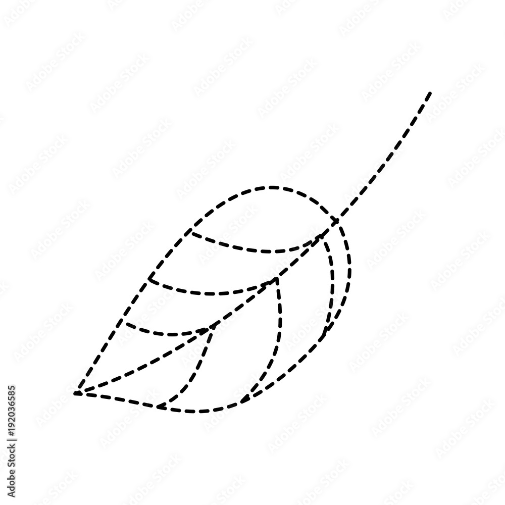 leaf foliage botany frond natural icon vector illustration dotted line ...