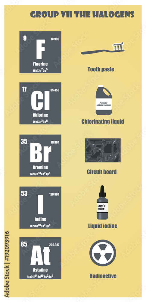 Periodic Table of element group VII The halogens Stock Vector | Adobe Stock