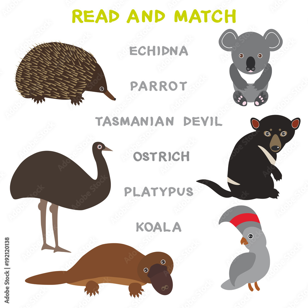 Kids words learning game worksheet read and match. Funny animals koala ostrich Echidna Tasmanian ...