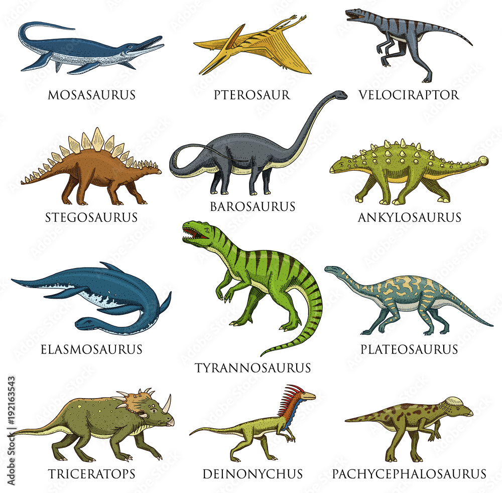 Fotografia Dinosaurs set, Tyrannosaurus rex, Triceratops, Barosaurus ... Fotografia Dinosaurs set, Tyrannosaurus rex, Triceratops, Barosaurus ...
