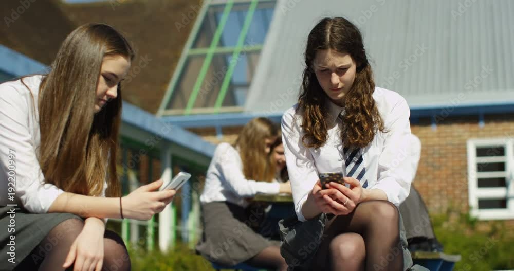 Vidéo Stock 4K School kids staring intently at their smartphones ...