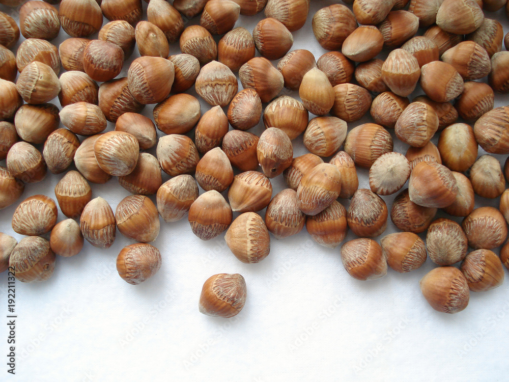 The hazel is a tree-like top view. A heap of bear-nut in the shell ...