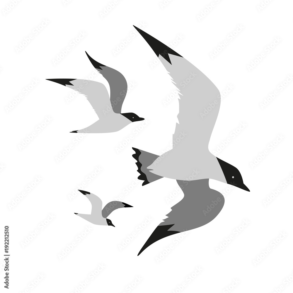 Seagull icon set. Monochrome black white minimalism style. Flying bird ...