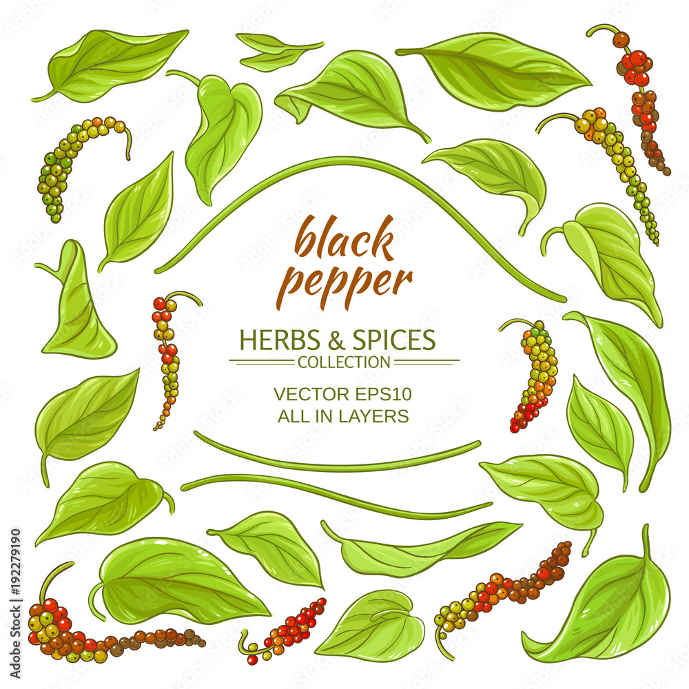 black ground pepper elements set Stock Vector | Adobe Stock