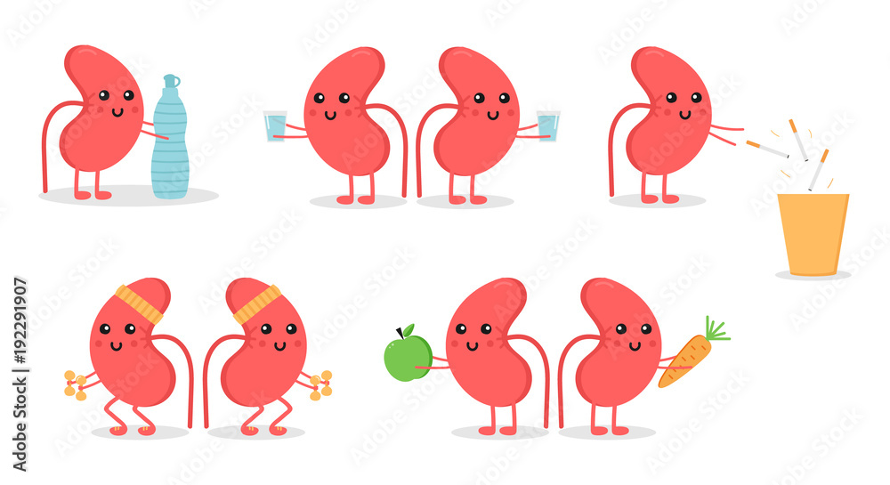 Set, collection of cartoon doodle kidney character, nice and smiling ...