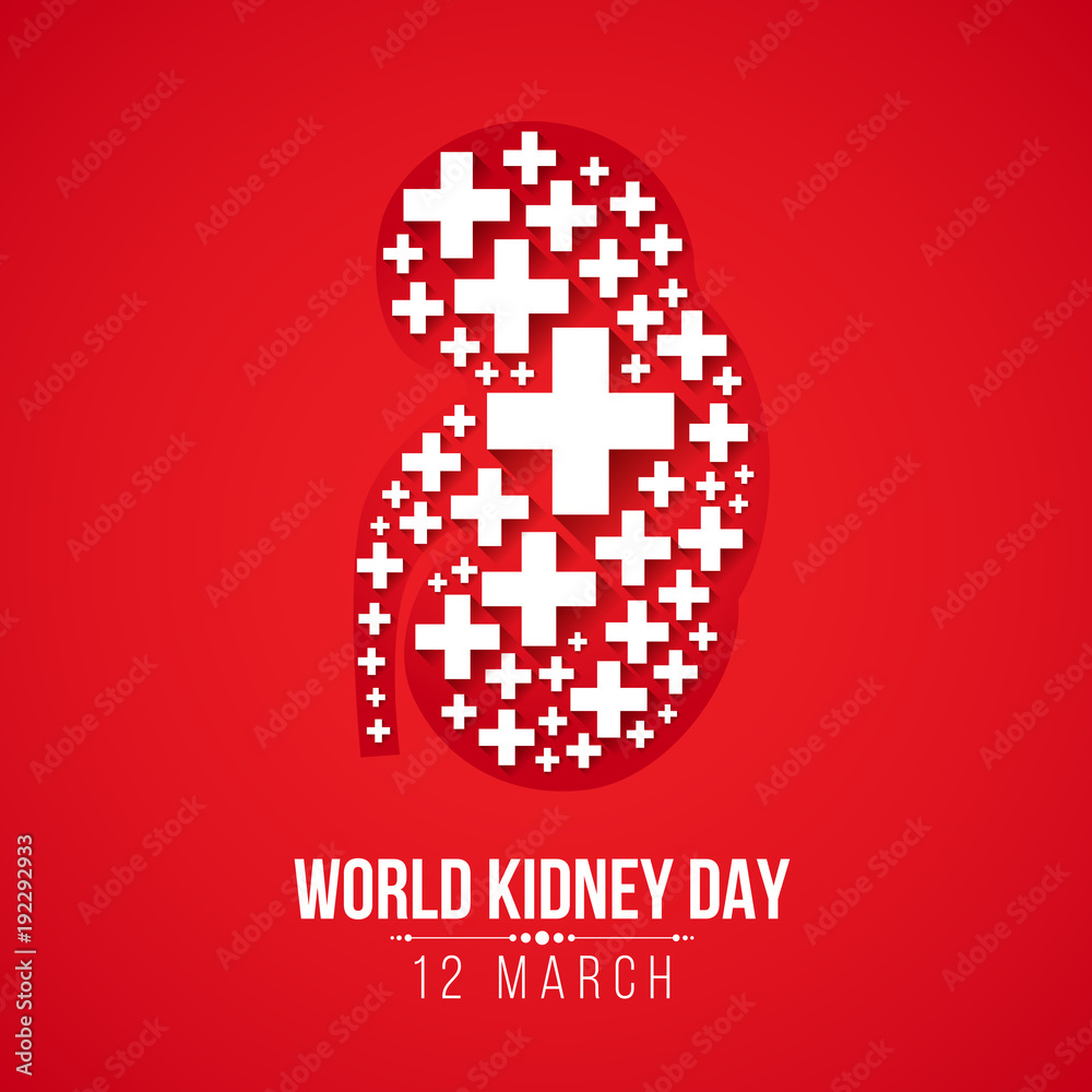 World Kidney day with white Cross sign Kidney on red background vector ...