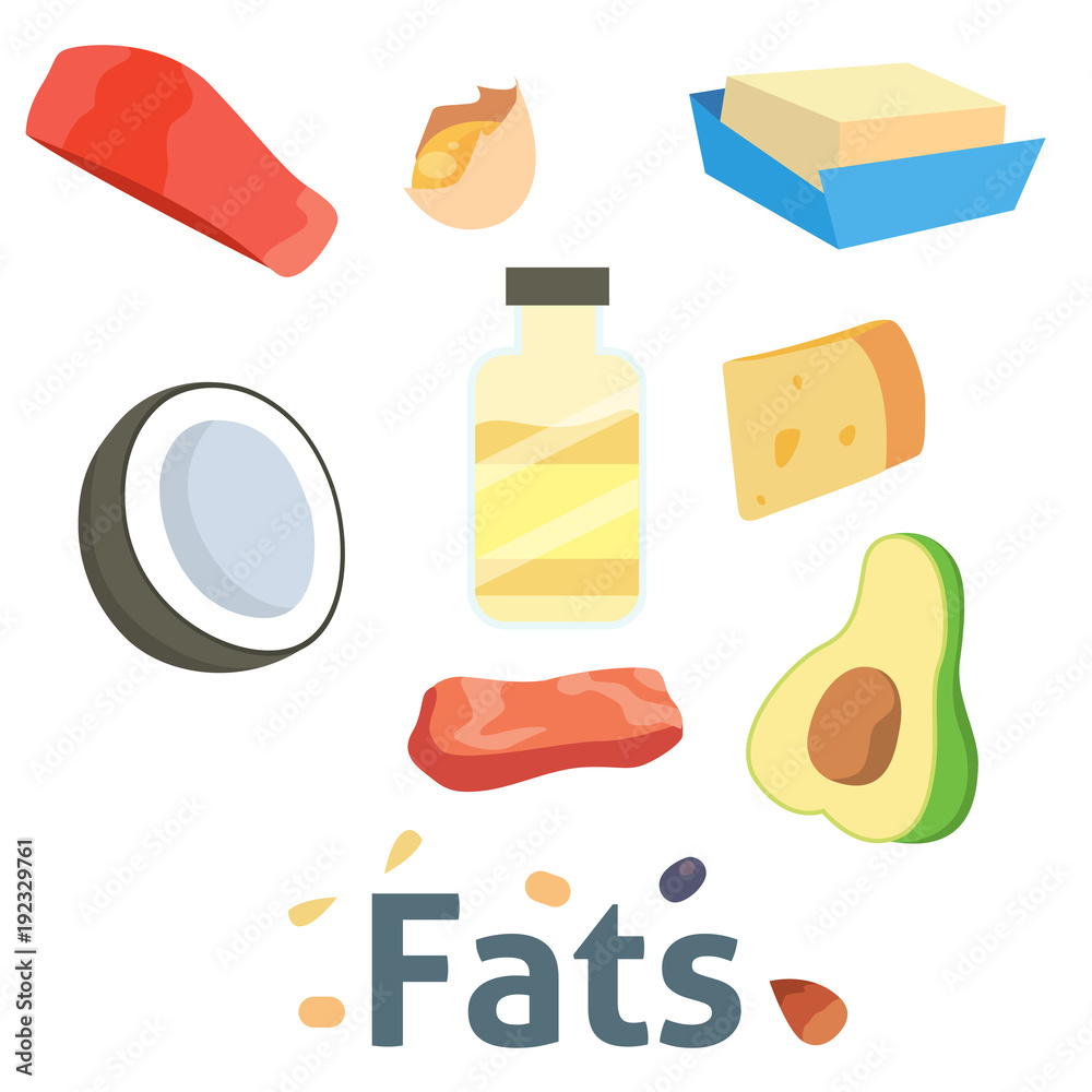 Fat food vector healthy diet oil avocado or fatty fish and nuts with ...