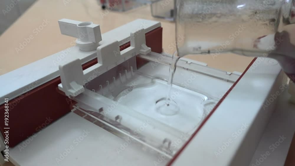 Creation of an agarose gel form. Filling the gel into the mold. Form for creating a gel for ...