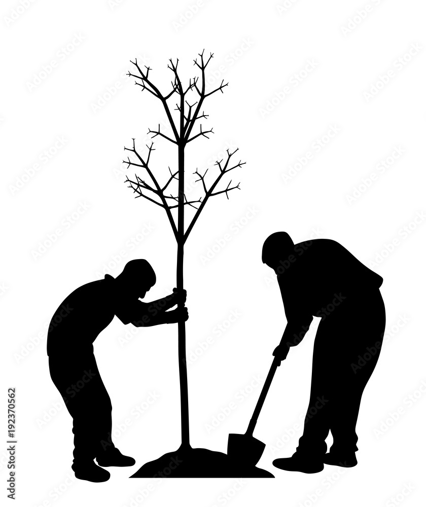 Planting a tree. In EPS vector file tree and workers are separated ...