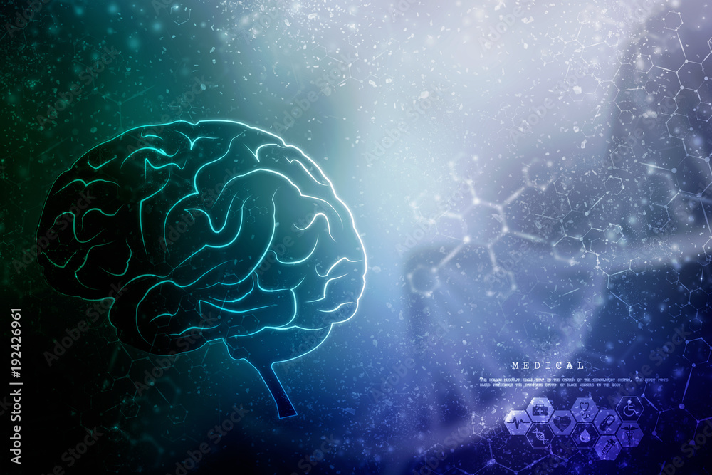 Human brain 2d illustration Stock Illustration | Adobe Stock