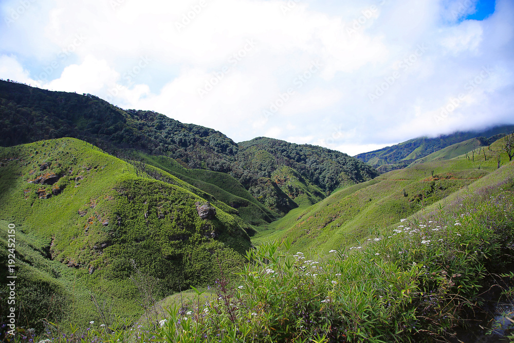 Foto de Dzükou Valley. Border of the states of Nagaland and Manipur ...