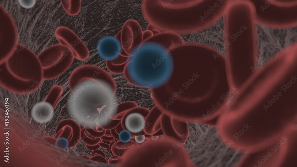 Oxygen in red blood cells in the blood and antibacterial, 3d rendering ...