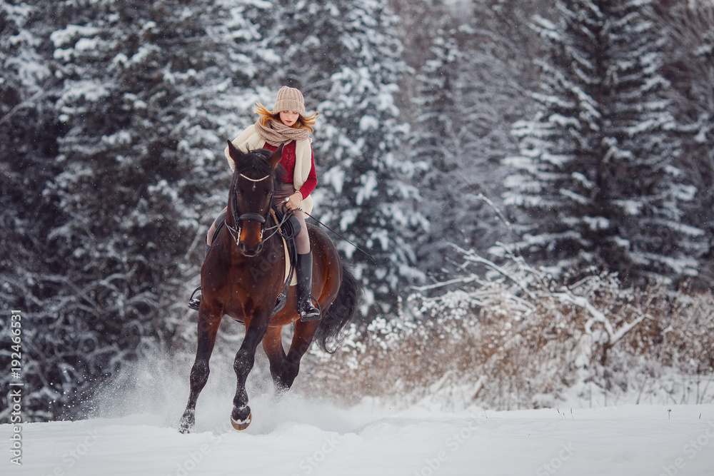 Horse And Rider Galloping