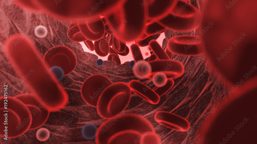 Oxygen in red blood cells in the blood and antibacterial, 3d rendering ...