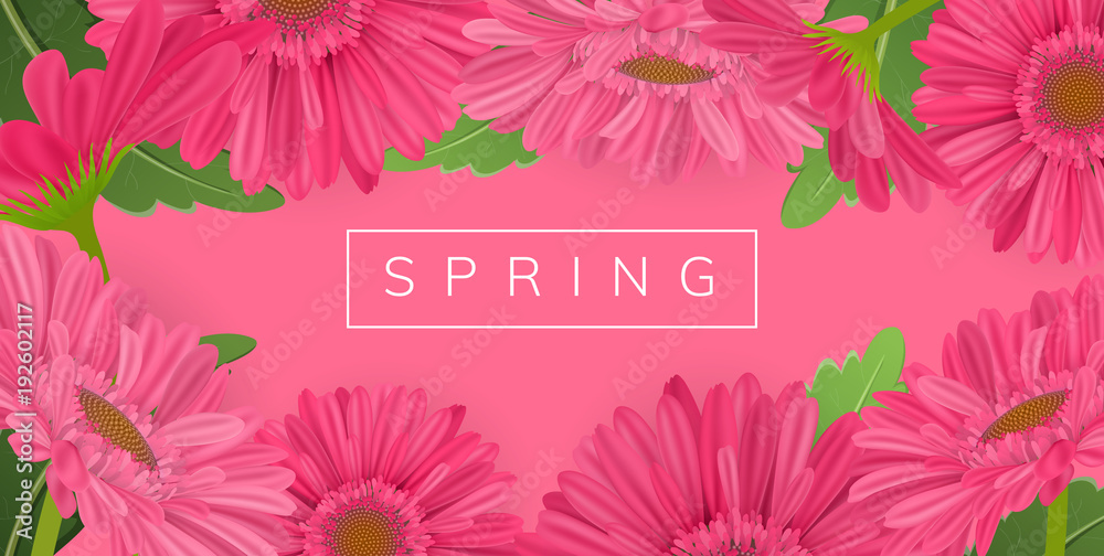 Horizontal pink banner full with pink gerbera daisy flower and green ...