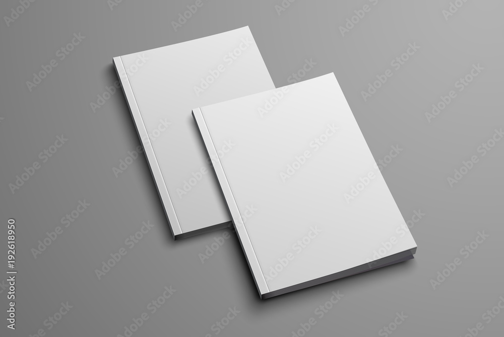 Two mockup for the presentation of the catalog. Stock Vector | Adobe Stock
