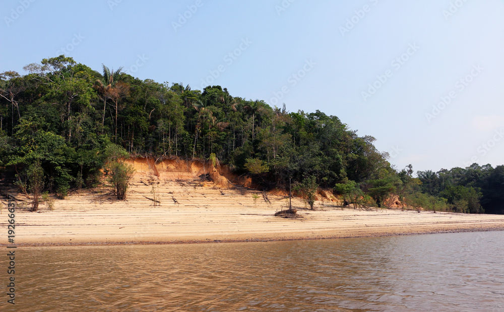 Bank of river Solimoes in Amazonia, Brazil, with visible signs of ...