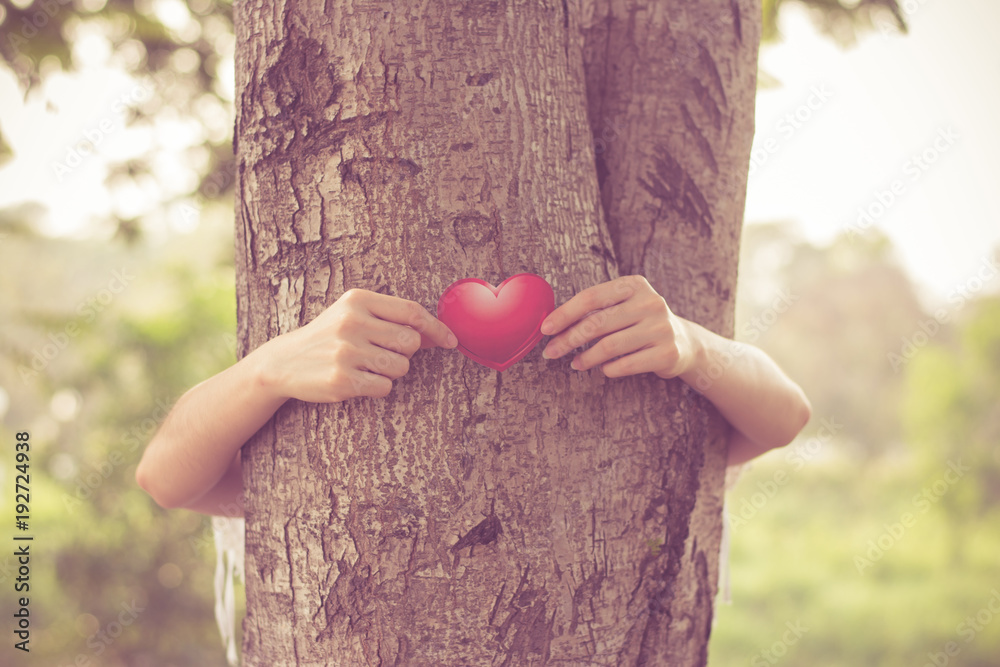 Love nature concept, woman give a hug behind tree,Tree hugging. Close ...