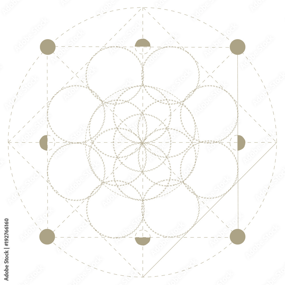 Vector sacred geometry symbol: Seed of Life, the precursor of the ...